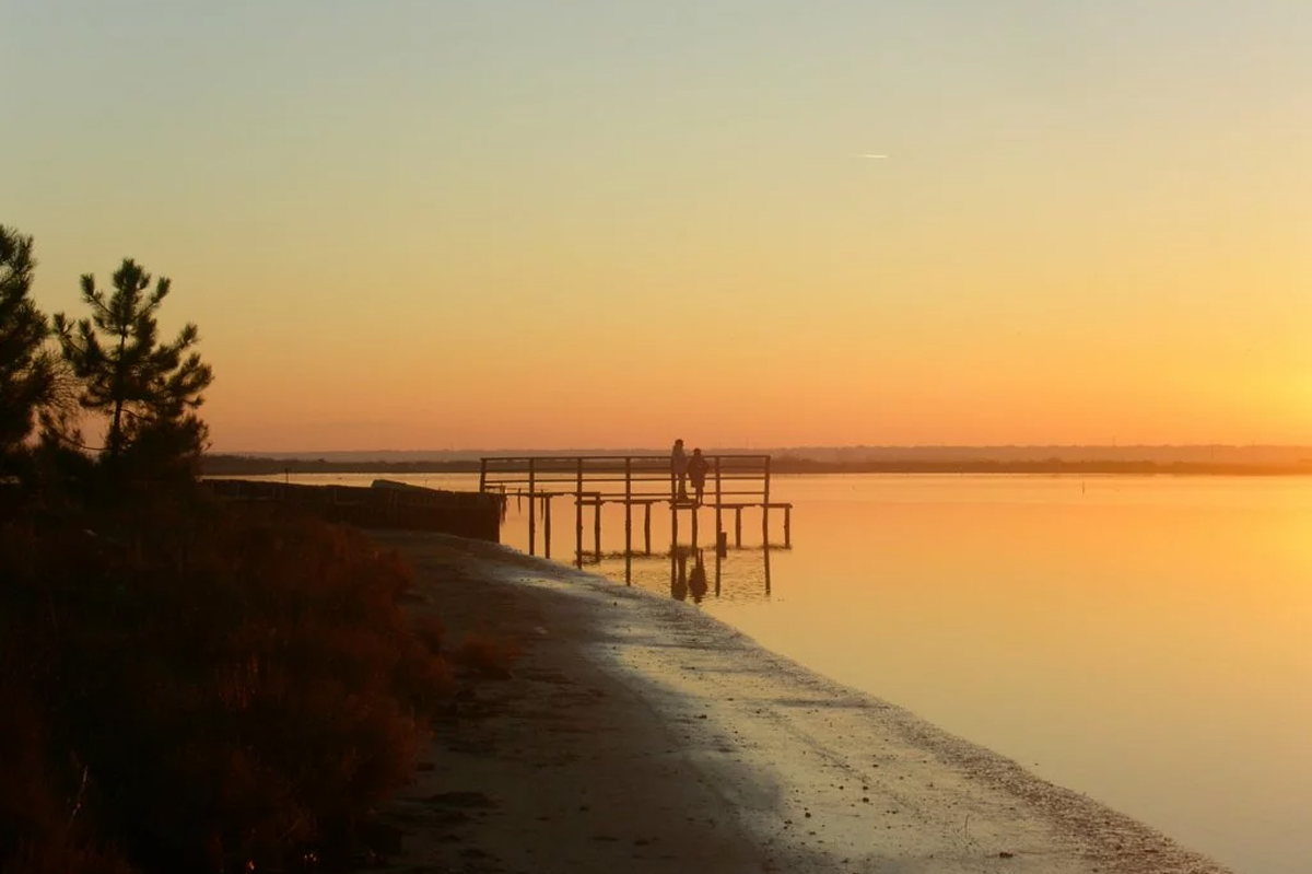 Sunset walk in the lagoons | Visit Romagna