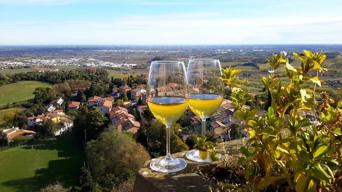 Forlimpopoli and Bertinoro: A Journey between Art and Taste | Emilia ...