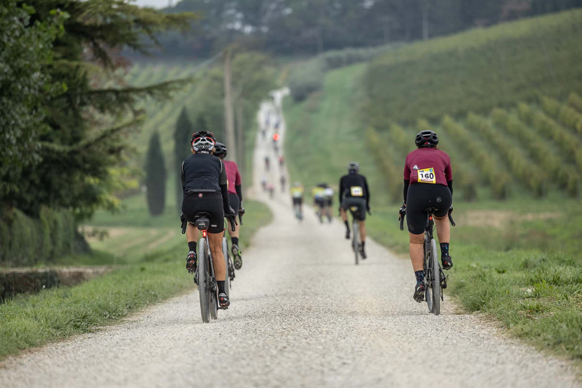 Strade bianche del sale | Visit Romagna