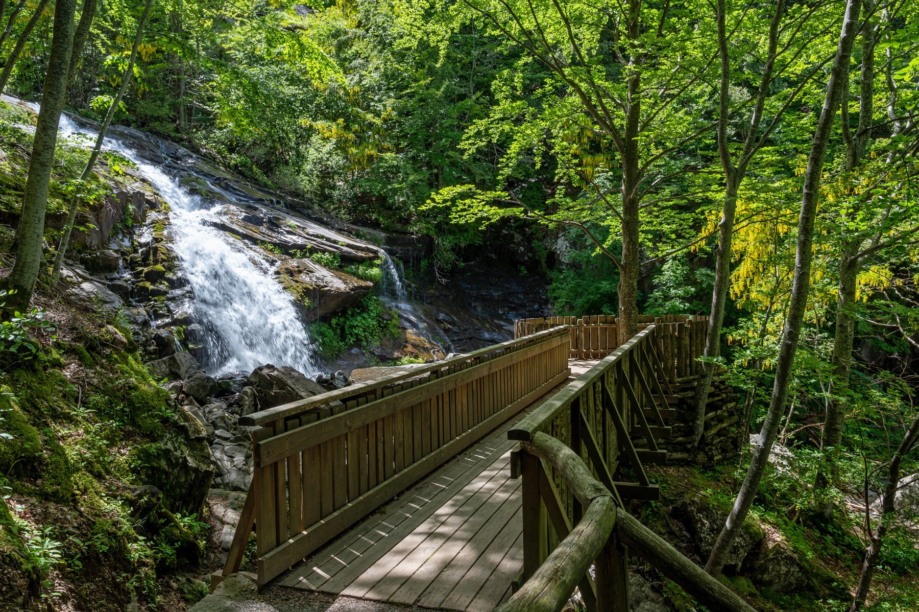 The Modenese Apennines: 5 Easy and Scenic Hikes suitable for the Whole ...